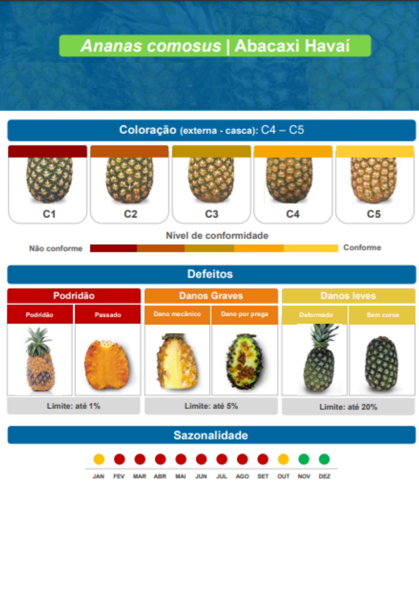 Ficha técnica de produto: o que é e como montar?